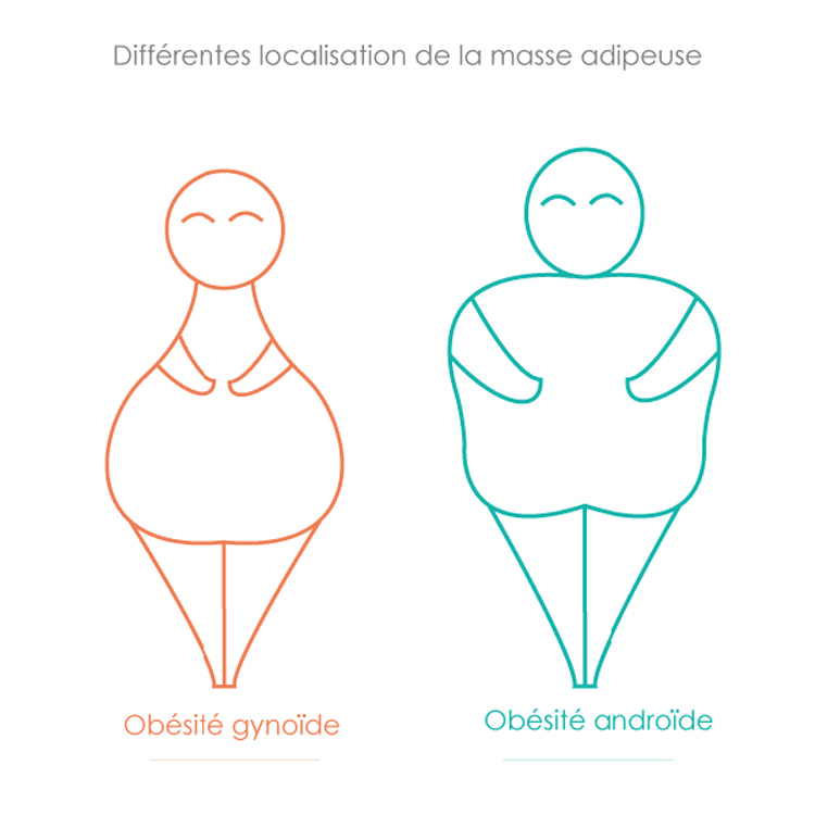 L indice De Masse Corporelle IMC De La Personne g e Click Care